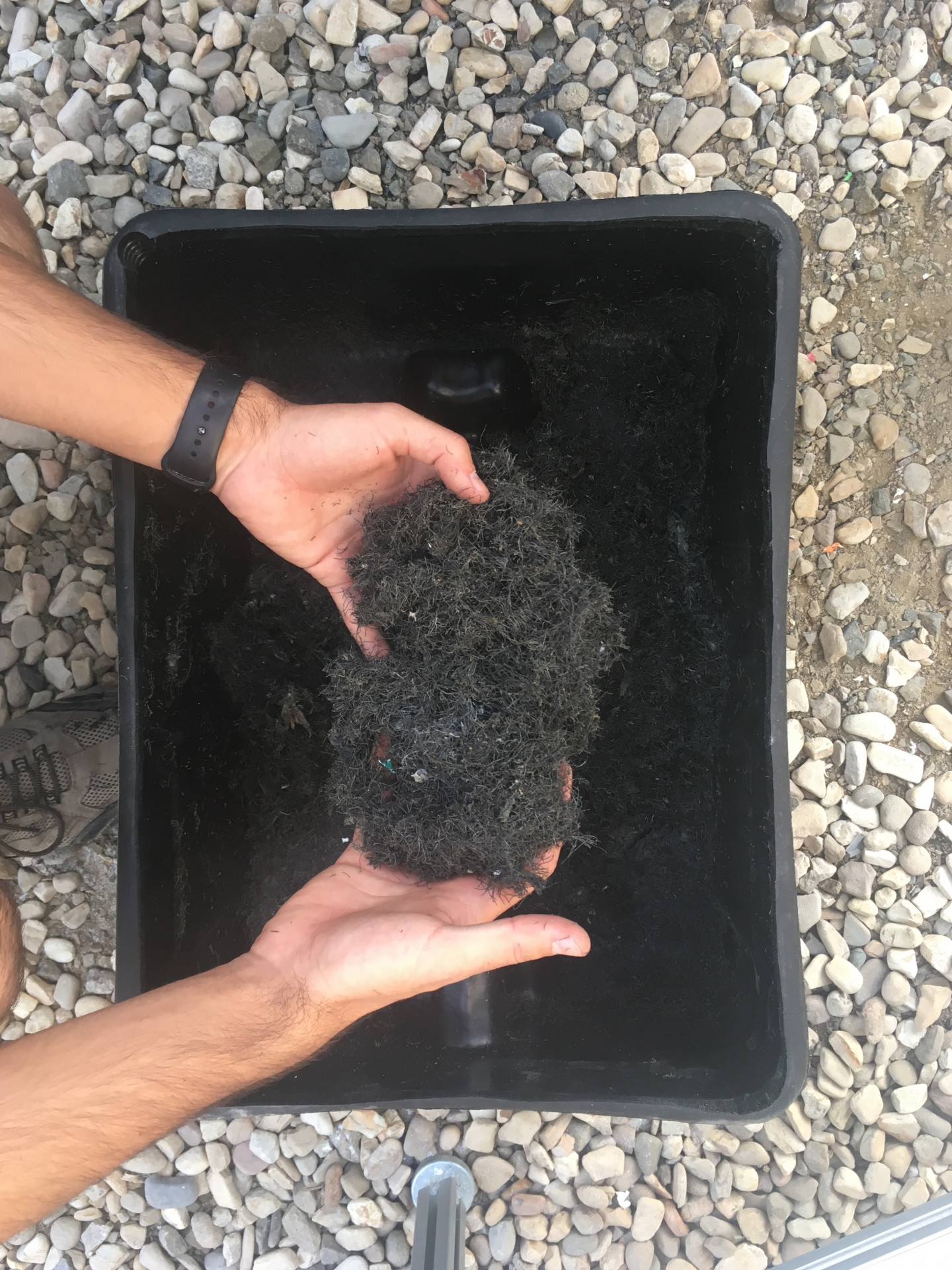 Solar Plastic Shredders (Solar Shredding and Granulator ...