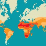 Solar Plastic Molding | LightManufacturing Inc.